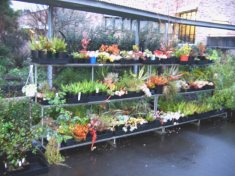 Nursery Plant Benches in Sydney Austrlalia | Grow & Display Plants