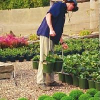 Pot Lifters(Australia Made in Sydney) | Robust Simple Designs