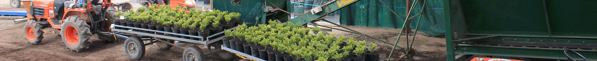 Horticulture & Nursery Equipment | Australian Made | C-Mac Industries