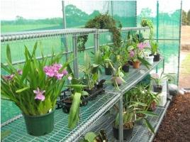 Shade House Australian Made in Sydney | Over 50 Years of History