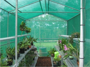 Shade House Australian Made in Sydney | Over 50 Years of History