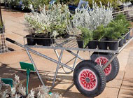How to choose a nursery plant trolley