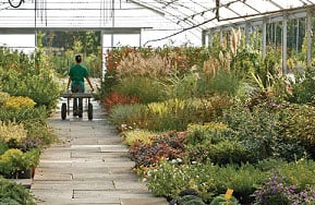 4 Ways to Improve Nursery Workplace Safety Through Equipment Handling