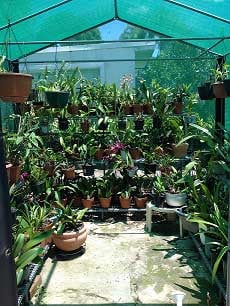 Shade House Australian Made in Sydney | Over 50 Years of History