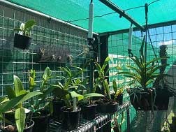 Shade House Australian Made in Sydney | Over 50 Years of History