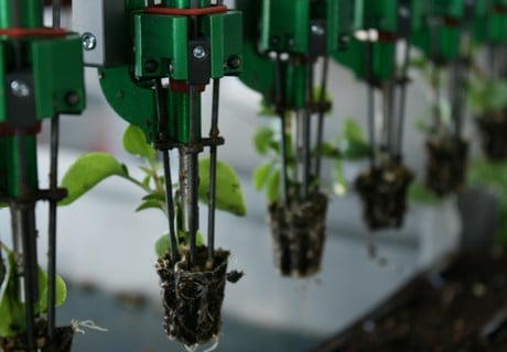 7 Questions To Answer Before Choosing Any Nursery Automation Equipment