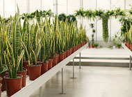 7 Things you need to know about Metal plant benches